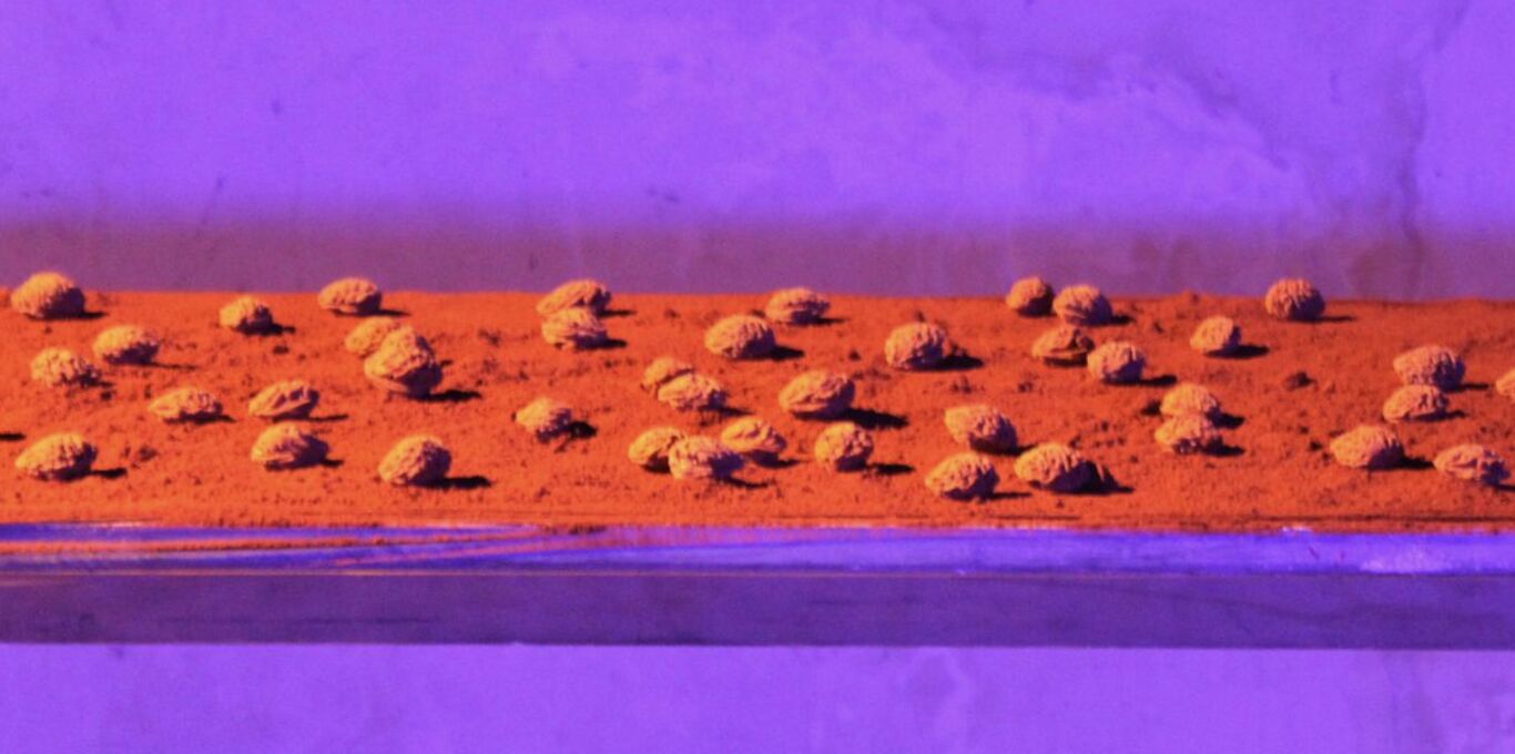 Albert Adria - Pinch Food Design